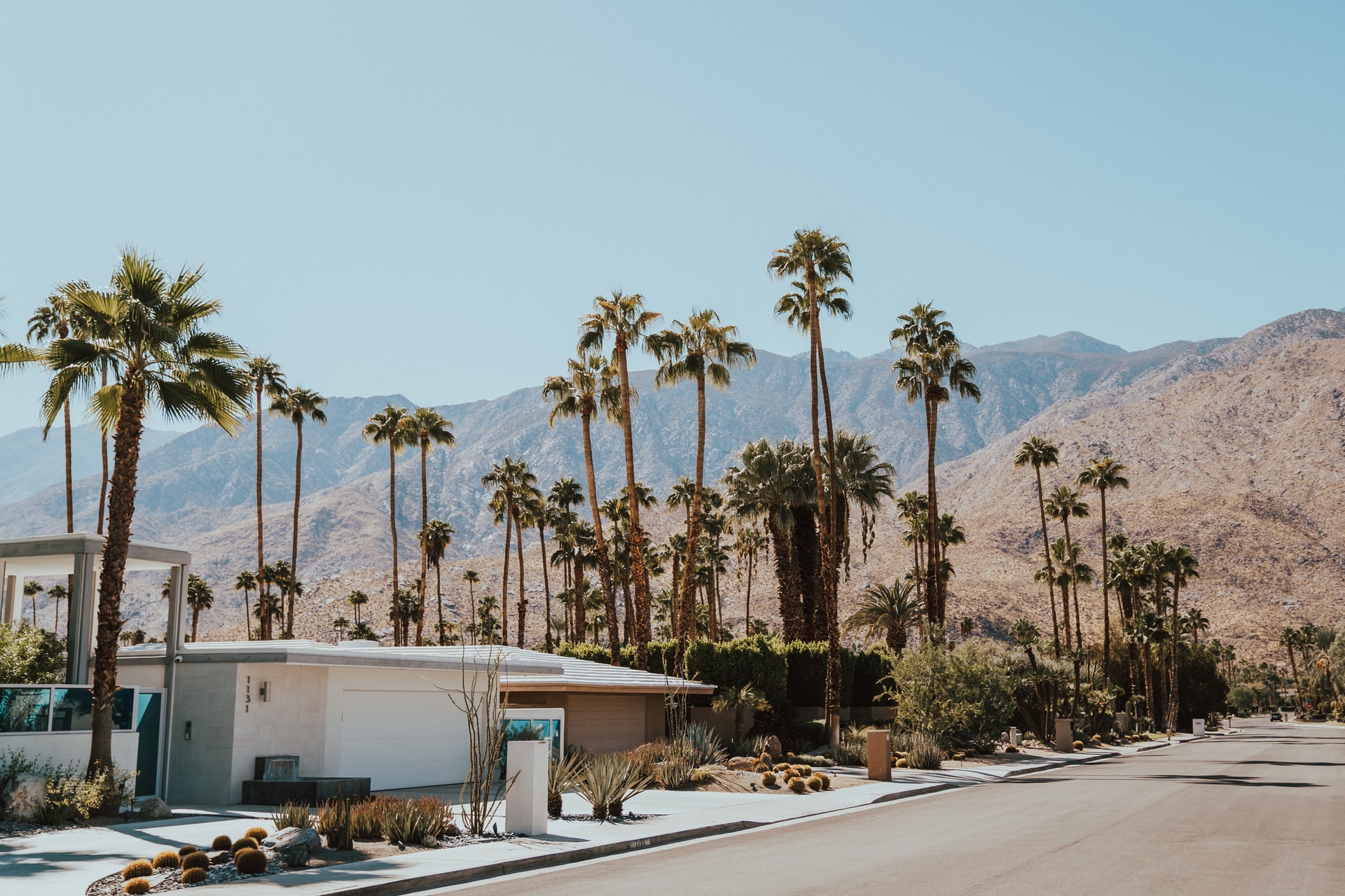 Top Palm Springs Facts You Probably Don t Know Arrived